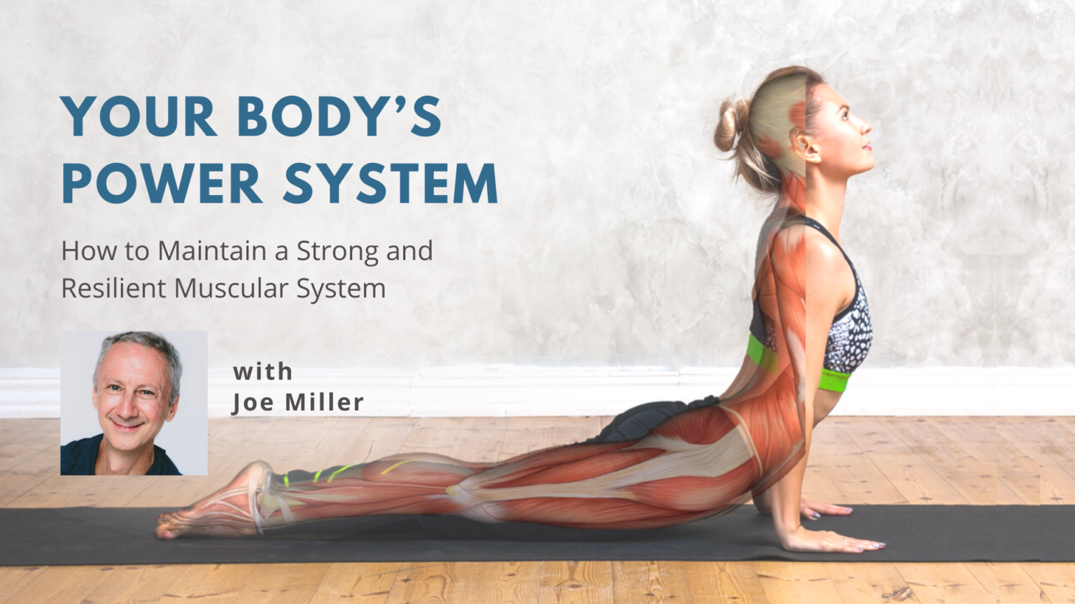 Your Body’s Power System: How to Maintain a Strong and Resilient ...