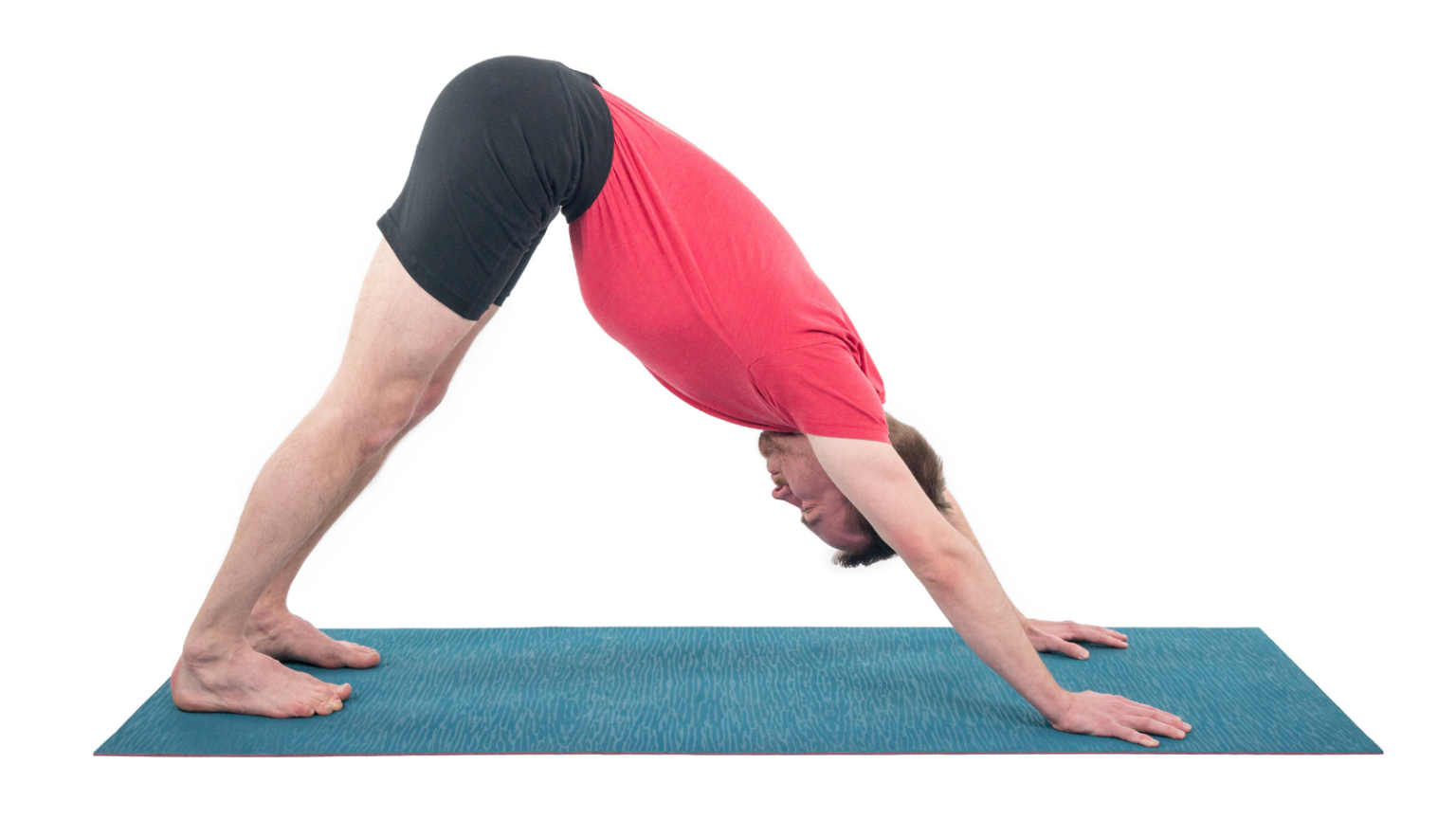 How to Do Downward Facing Dog Pose (Adho Mukha Svanasana) | YogaUOnline